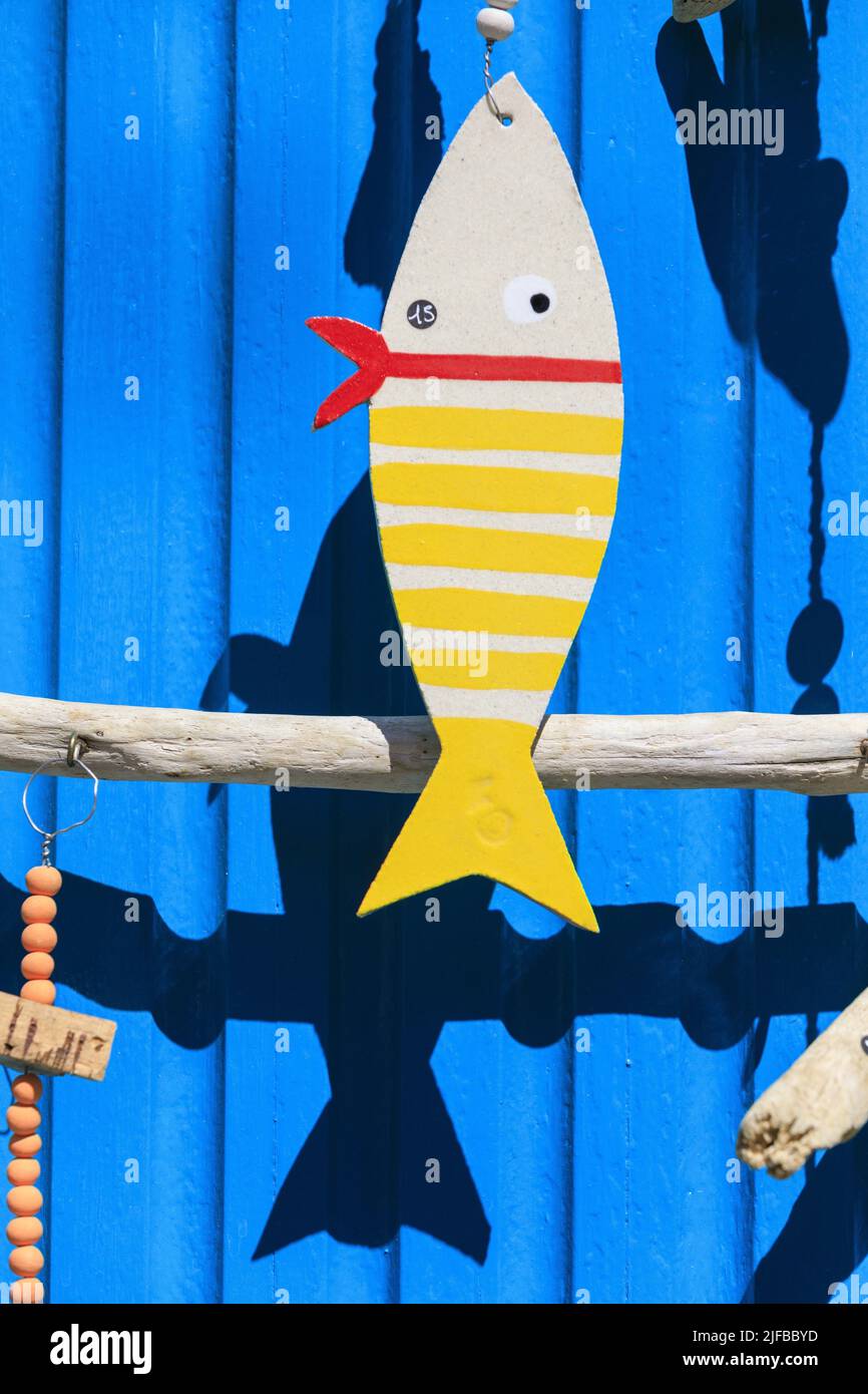 France, Var, Dracenie, Salernes, rue JJ Rousseau, Mouettes et Sardines ...