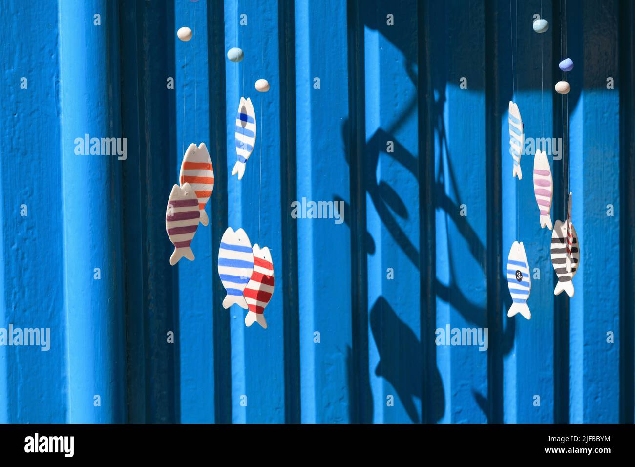 France, Var, Dracenie, Salernes, rue JJ Rousseau, Mouettes et Sardines ...