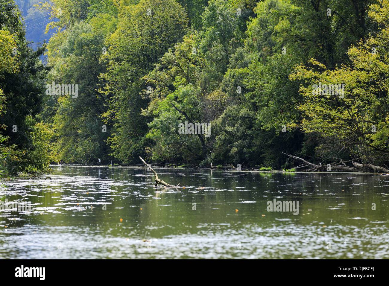 France, Isere, Sablons, ile de la Platiere, nature reserve, lone sur Le ...