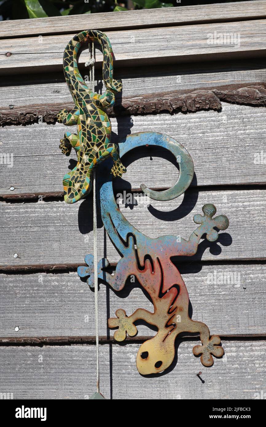 Colourful ceramic model salamander climbs up a trellis in an English ...