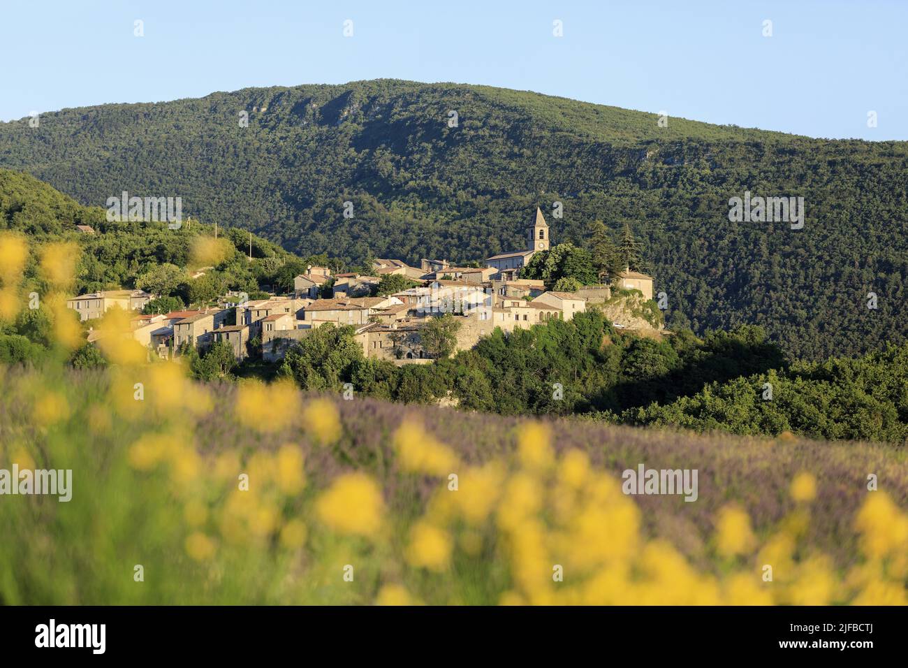 France, Drome, regional natural park of Baronnies Provençales, Saint ...