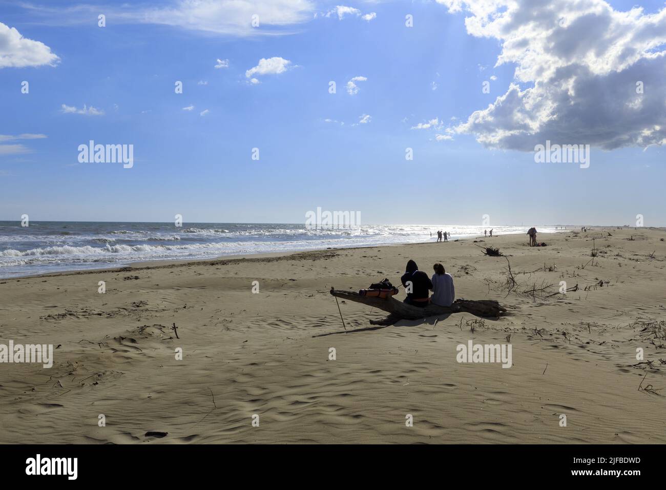 France, Bouches du Rhone, regional natural park of Camargue, Arles ...