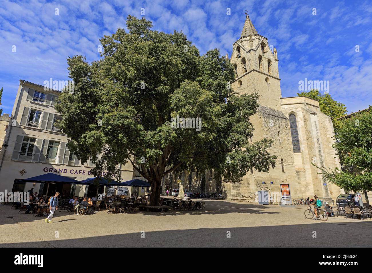 France, Vaucluse, Avignon, place Saint Didier, Saint Didier church ...