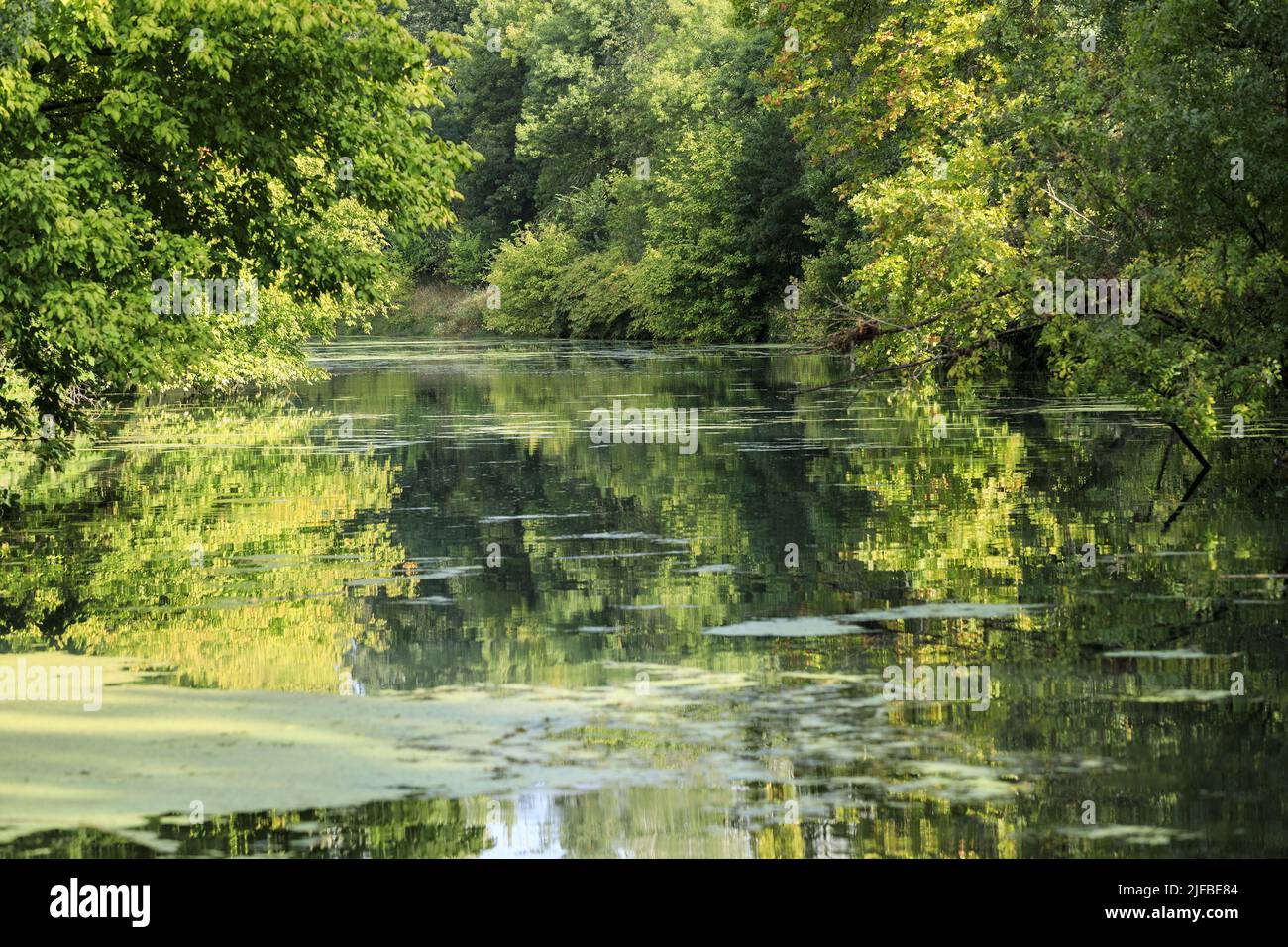 France, Ardeche, Limony, ile de la Platiere, nature reserve, lone sur ...