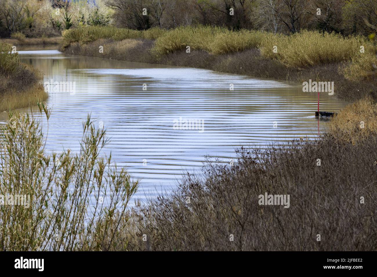 France, Vaucluse, Caderousse, Aigue river Stock Photo - Alamy