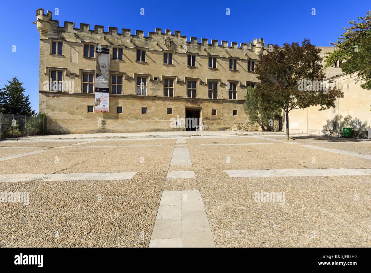 France, Vaucluse, Avignon, place du Palais, Petit Palais museum ...