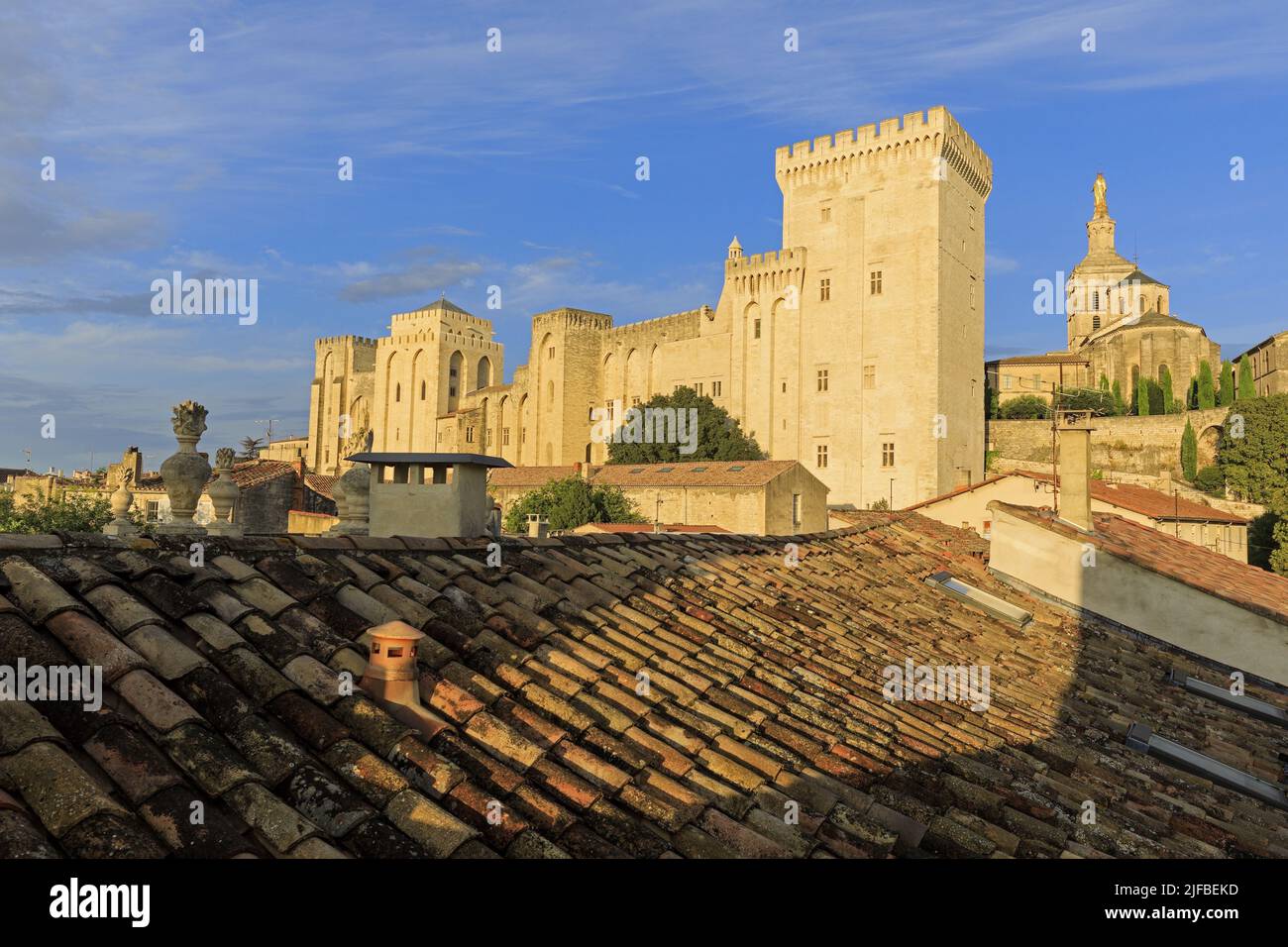France, Vaucluse, Avignon, the roofs of Avignon, Palais des Papes (14th ...