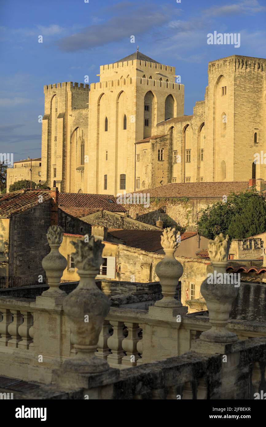 France, Vaucluse, Avignon, the roofs of Avignon, Palais des Papes (14th ...