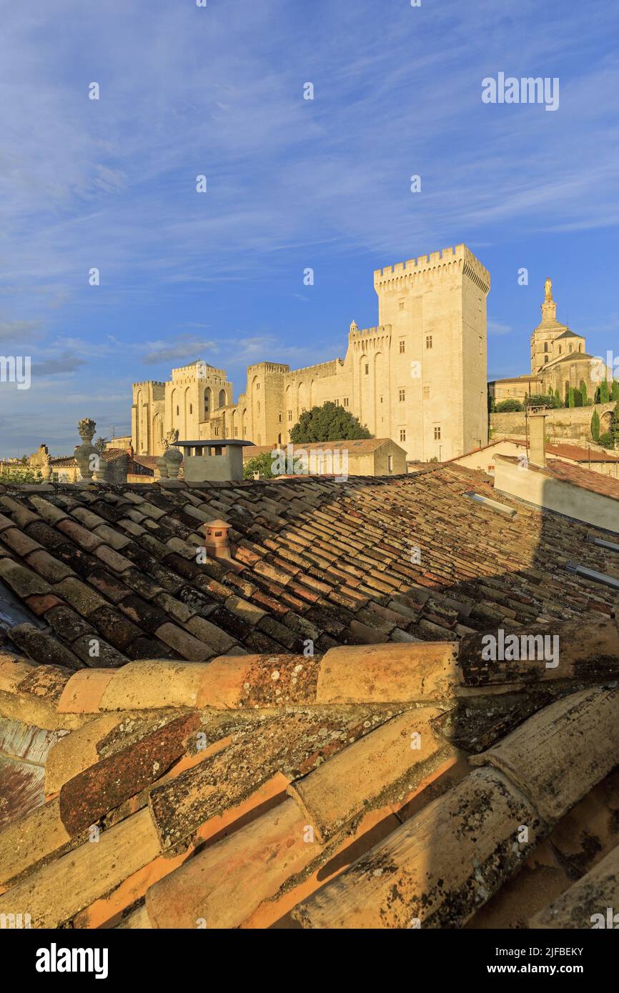 France, Vaucluse, Avignon, the roofs of Avignon, Palais des Papes (14th ...