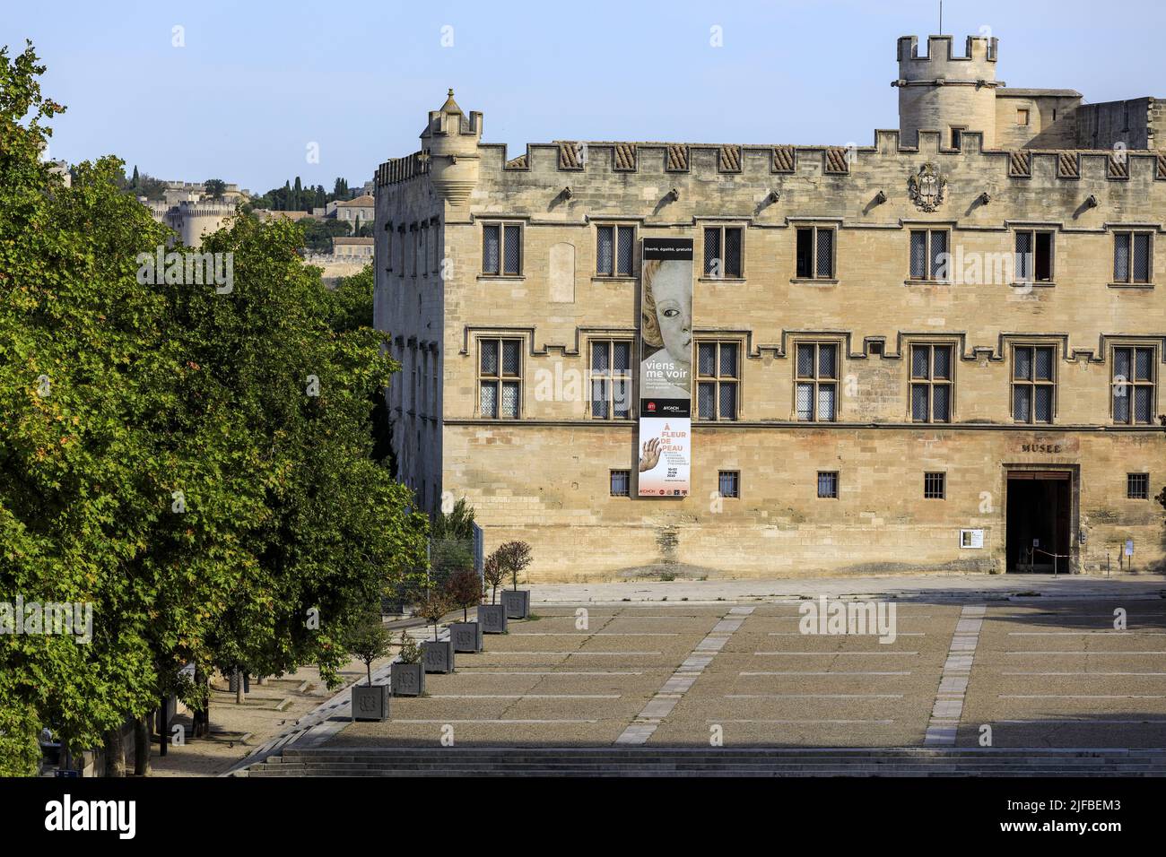 France, Vaucluse, Avignon, place du Palais, Petit Palais museum ...