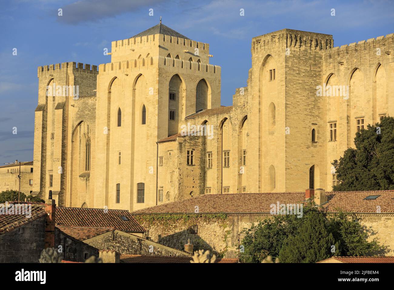 France, Vaucluse, Avignon, the roofs of Avignon, Palais des Papes (14th ...