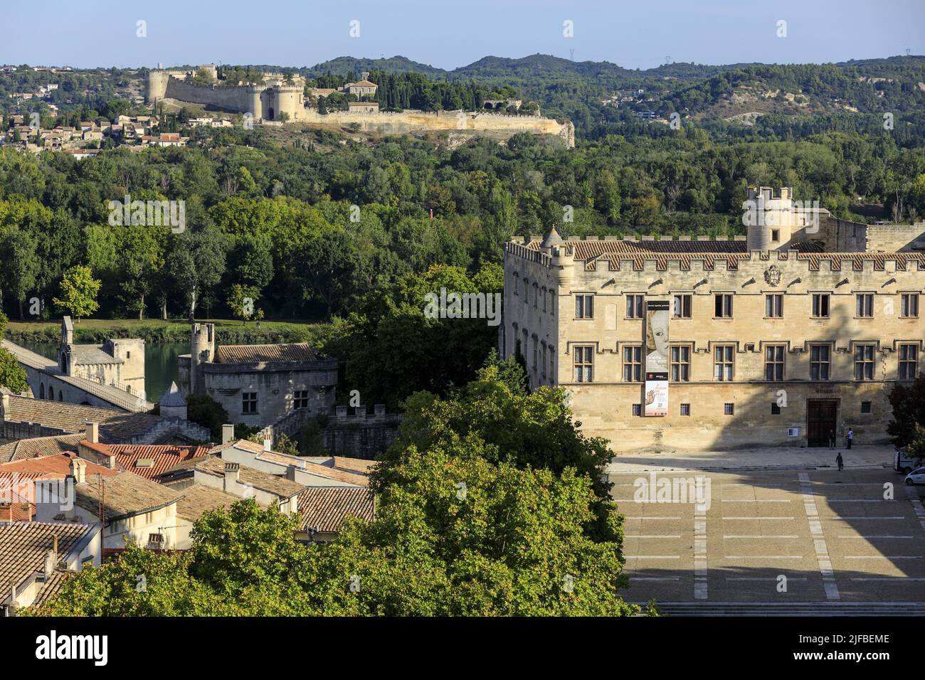 France, Vaucluse, Avignon, place du Palais, Petit Palais museum ...