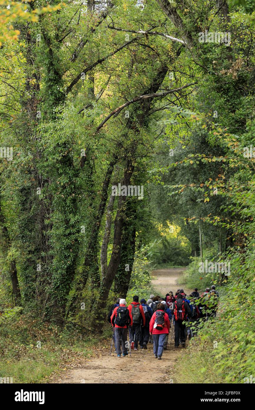France, Var, Dracenie, Les Arcs sur Argens, Collobrere forest, hike on ...
