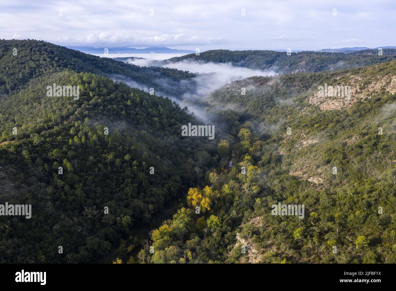 France, Var, Dracenie, Les Arcs sur Argens, Aille river (aerial view ...