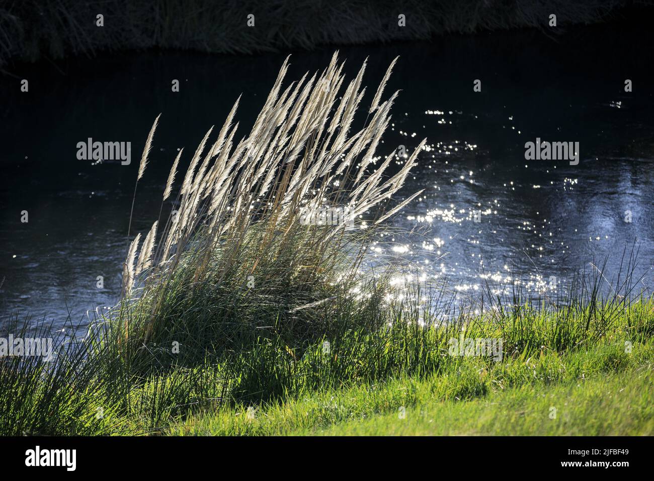 Tailrace channel hi-res stock photography and images - Alamy