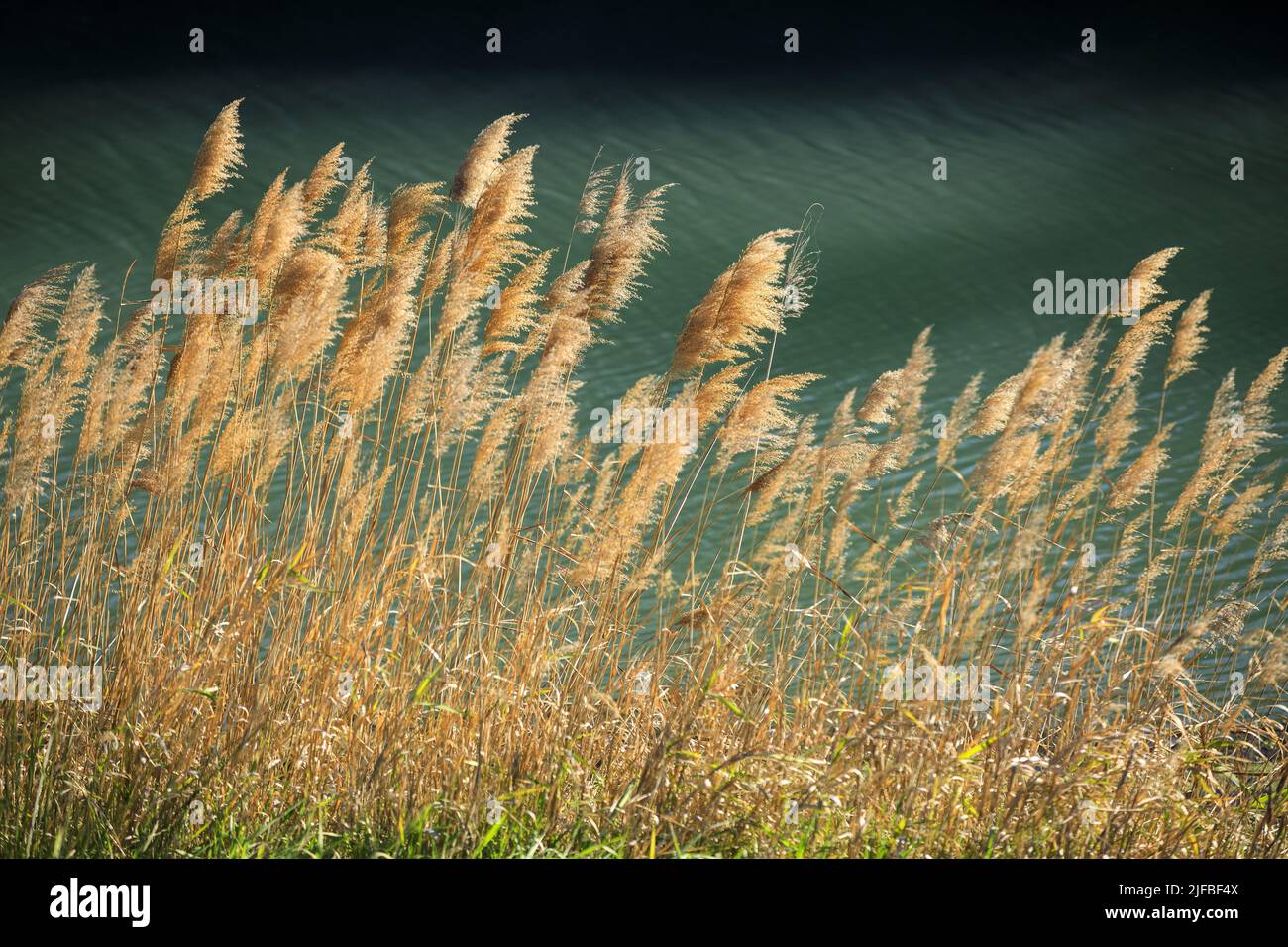 Tailrace channel hi-res stock photography and images - Alamy