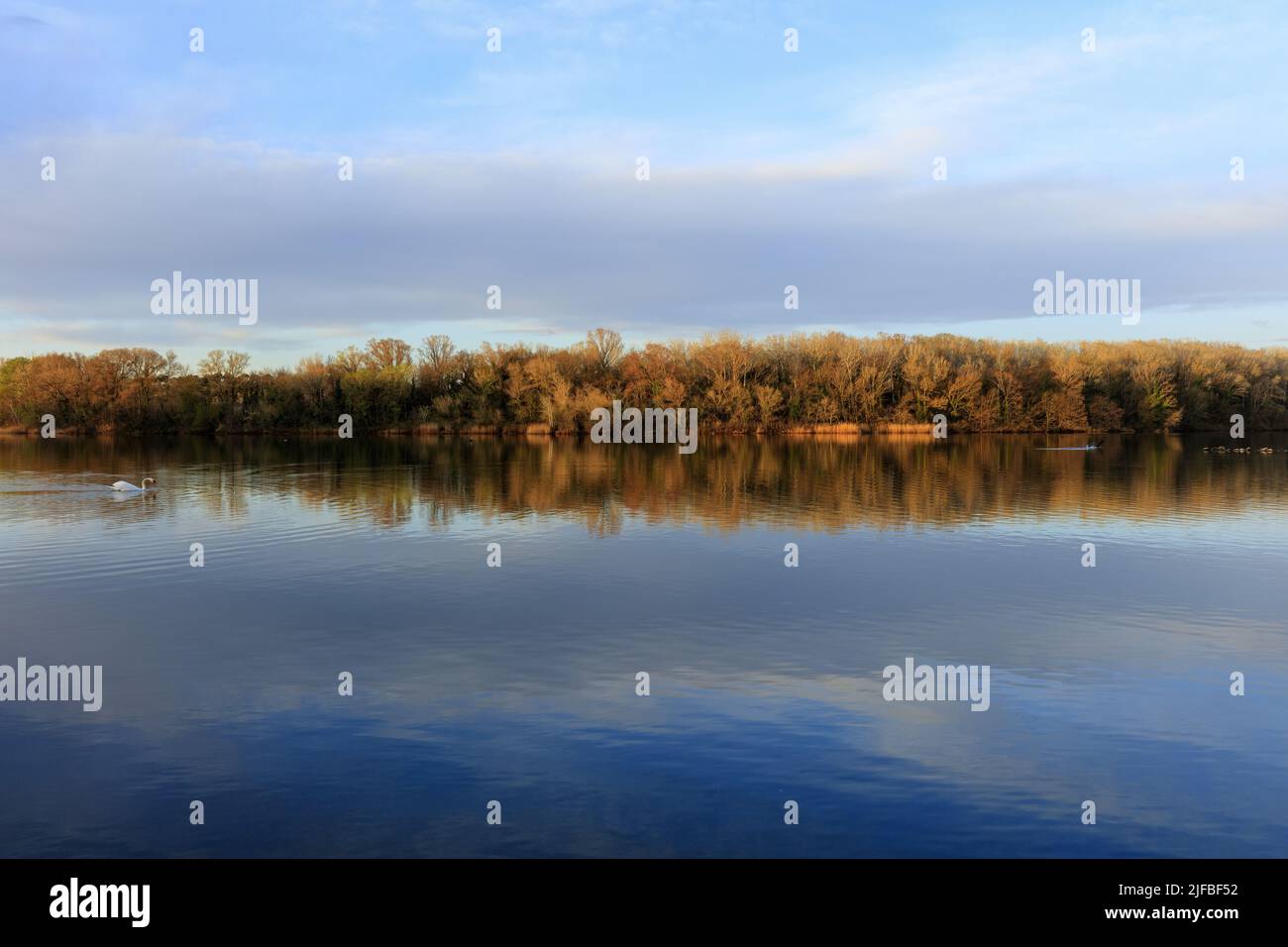 France, Vaucluse, Caderousse, etang de Caderousse Stock Photo - Alamy