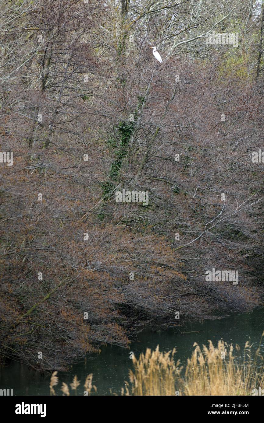 Caderousse hi-res stock photography and images - Alamy