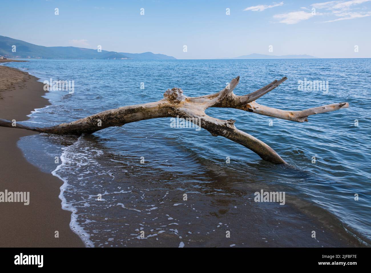 Beach Scenery In Marina Di Alberese, Tuscany Stock Photo - Alamy