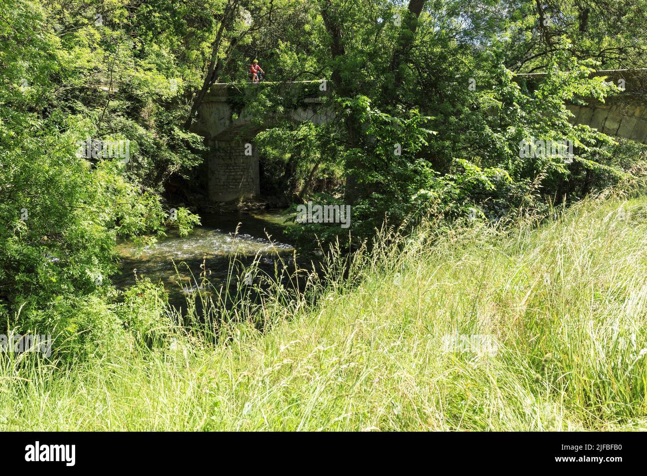 France, Var, Provence Verte, Correns, L'Argens river, bridge Stock ...