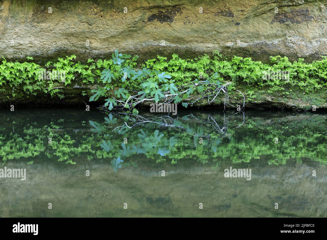 France, Var, Provence Verte, Chateauvert, the gorges of Vallon Sourn ...