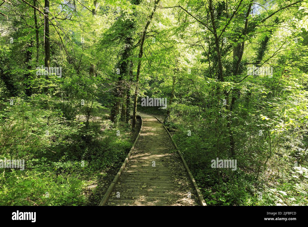 France, Var, Provence Verte, Chateauvert, the gorges of Vallon Sourn ...