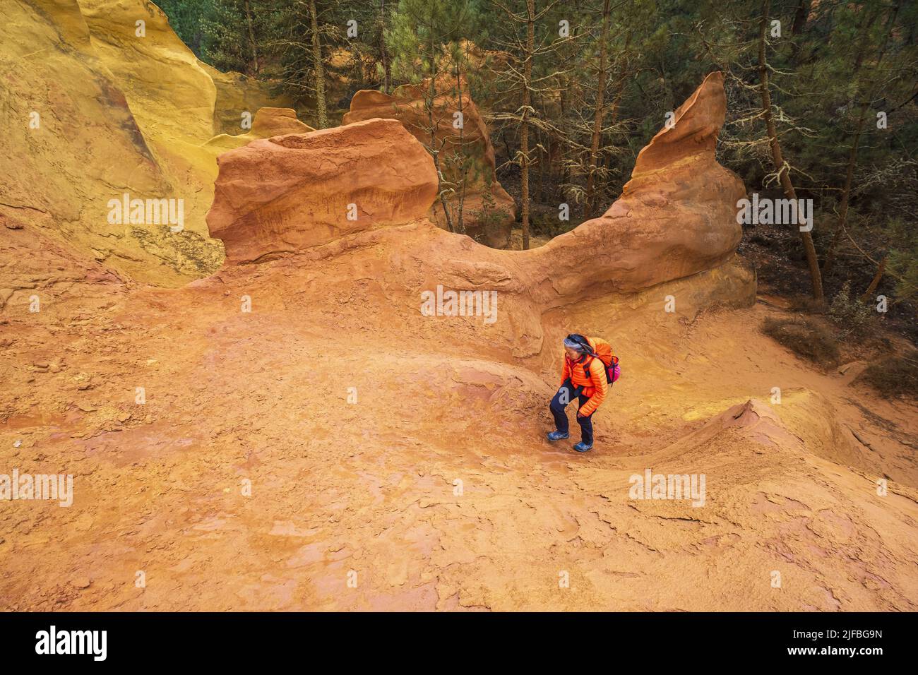 France, Vaucluse, Luberon regional nature park, surroundings of Villars ...
