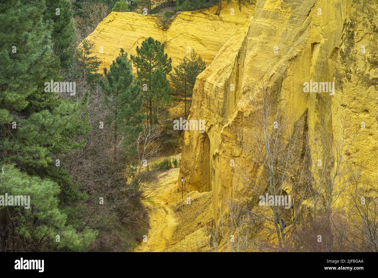 France, Vaucluse, Luberon regional nature park, surroundings of Villars ...