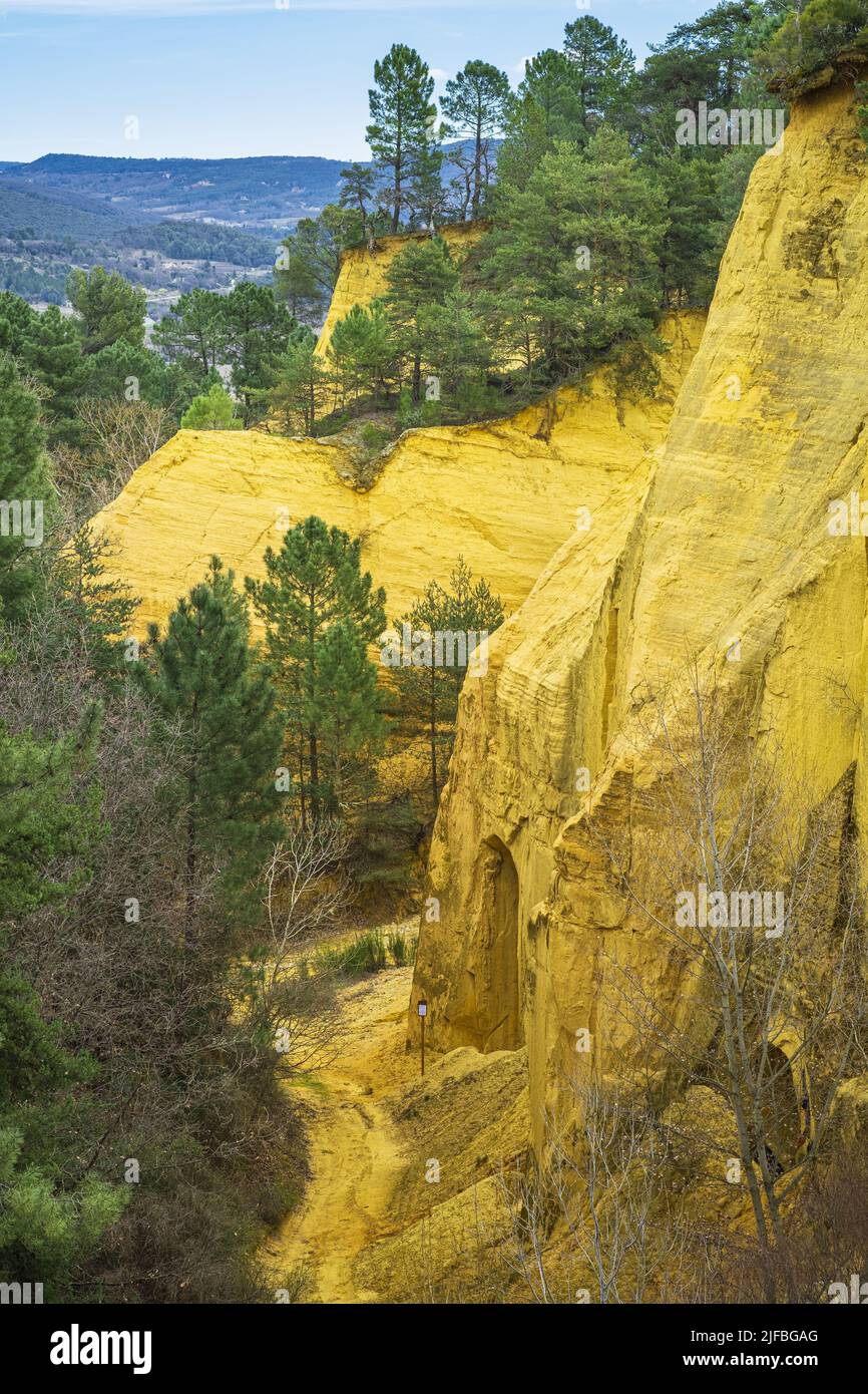 France, Vaucluse, Luberon regional nature park, surroundings of Villars ...