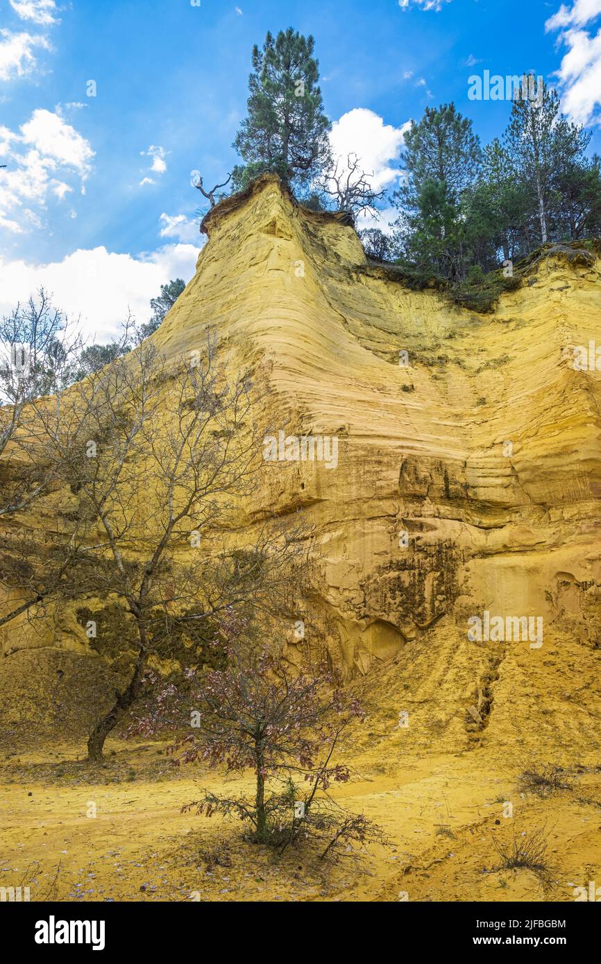France, Vaucluse, Luberon regional nature park, surroundings of Villars ...