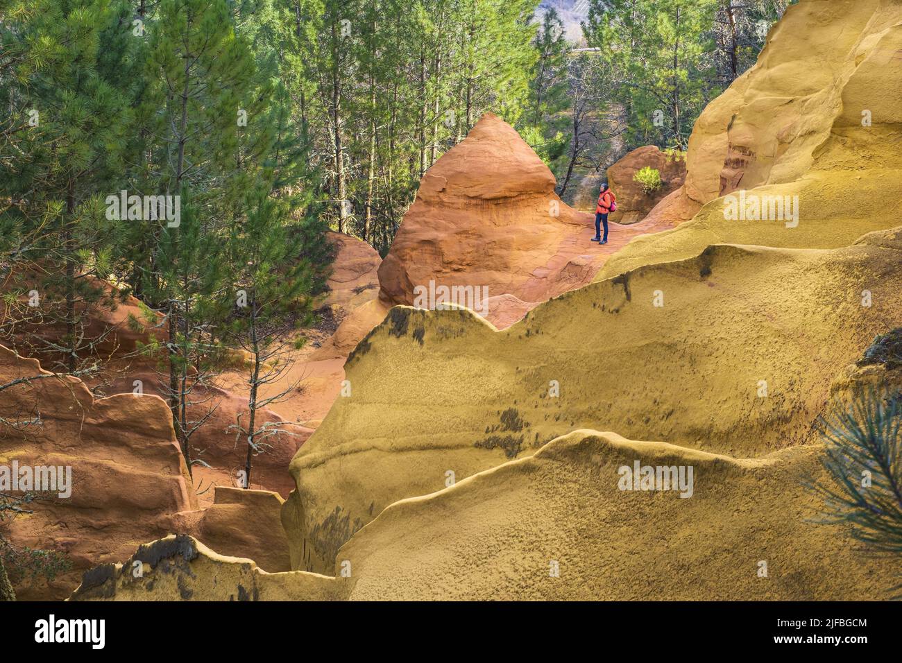 France, Vaucluse, Luberon regional nature park, surroundings of Villars ...