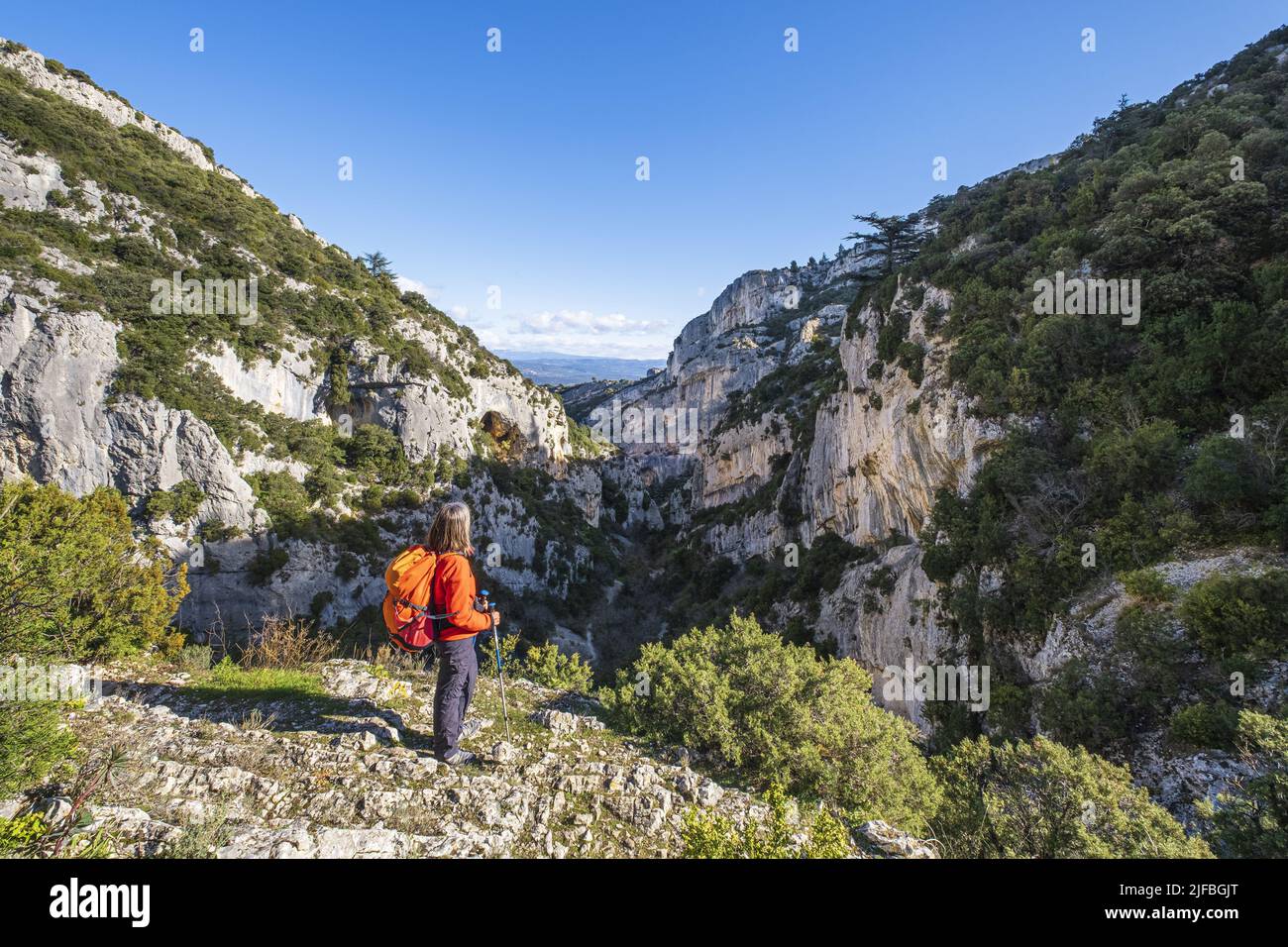 France, Vaucluse, Luberon regional nature park, hike starting from ...