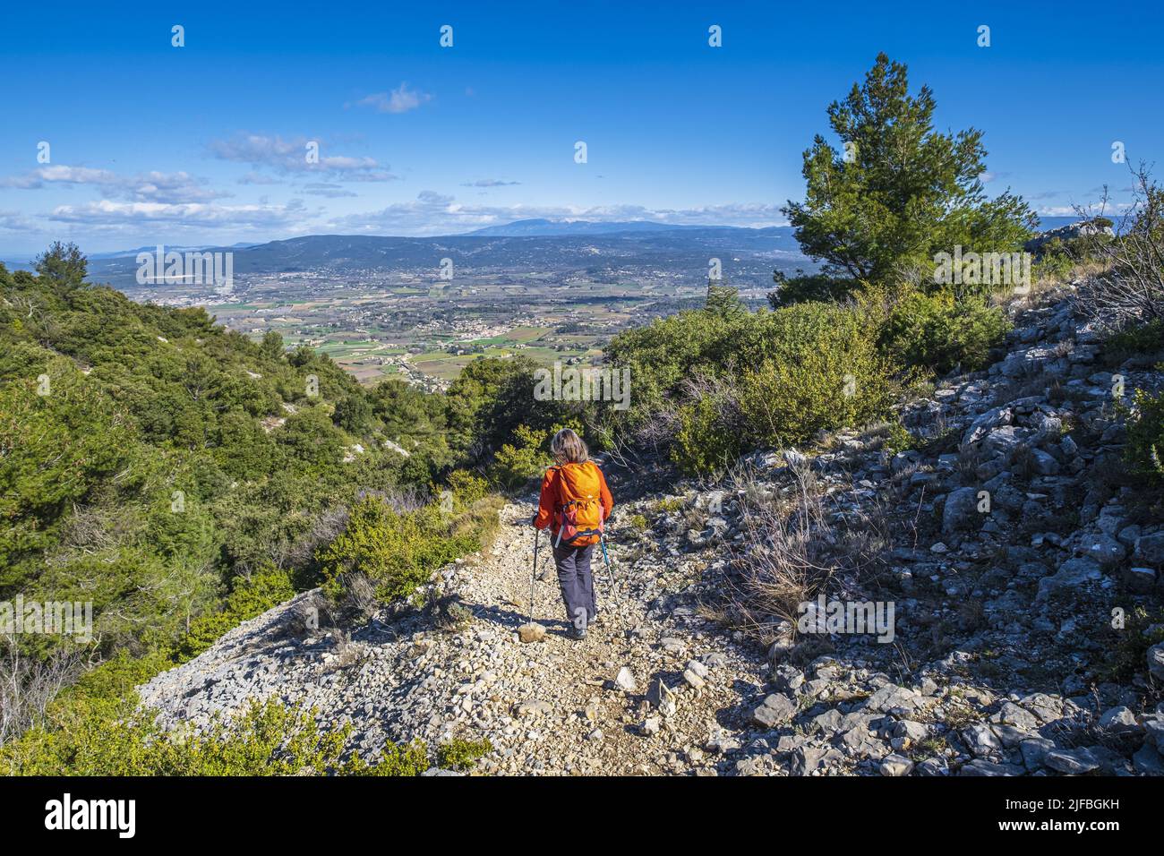 France, Vaucluse, Luberon regional nature park, hike starting from ...