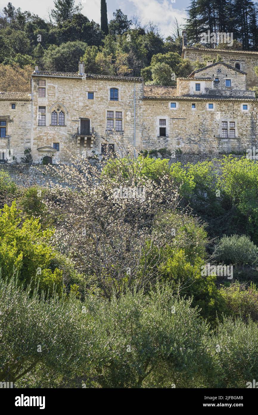 France, Vaucluse, Luberon regional nature park, Oppede-le-Vieux ...