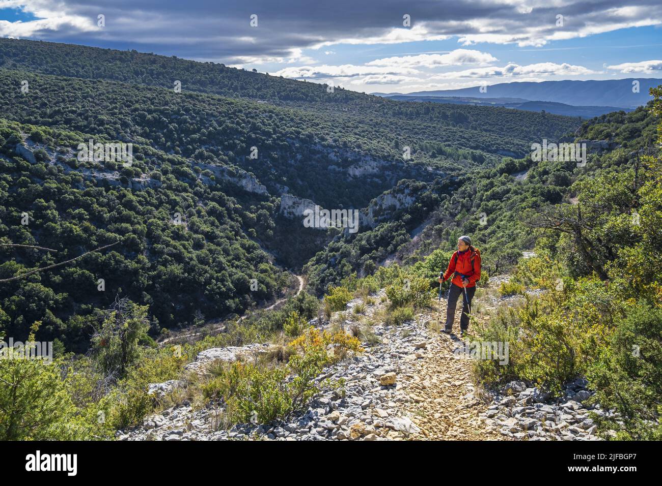 France, Vaucluse, Luberon regional nature park, hike starting from ...
