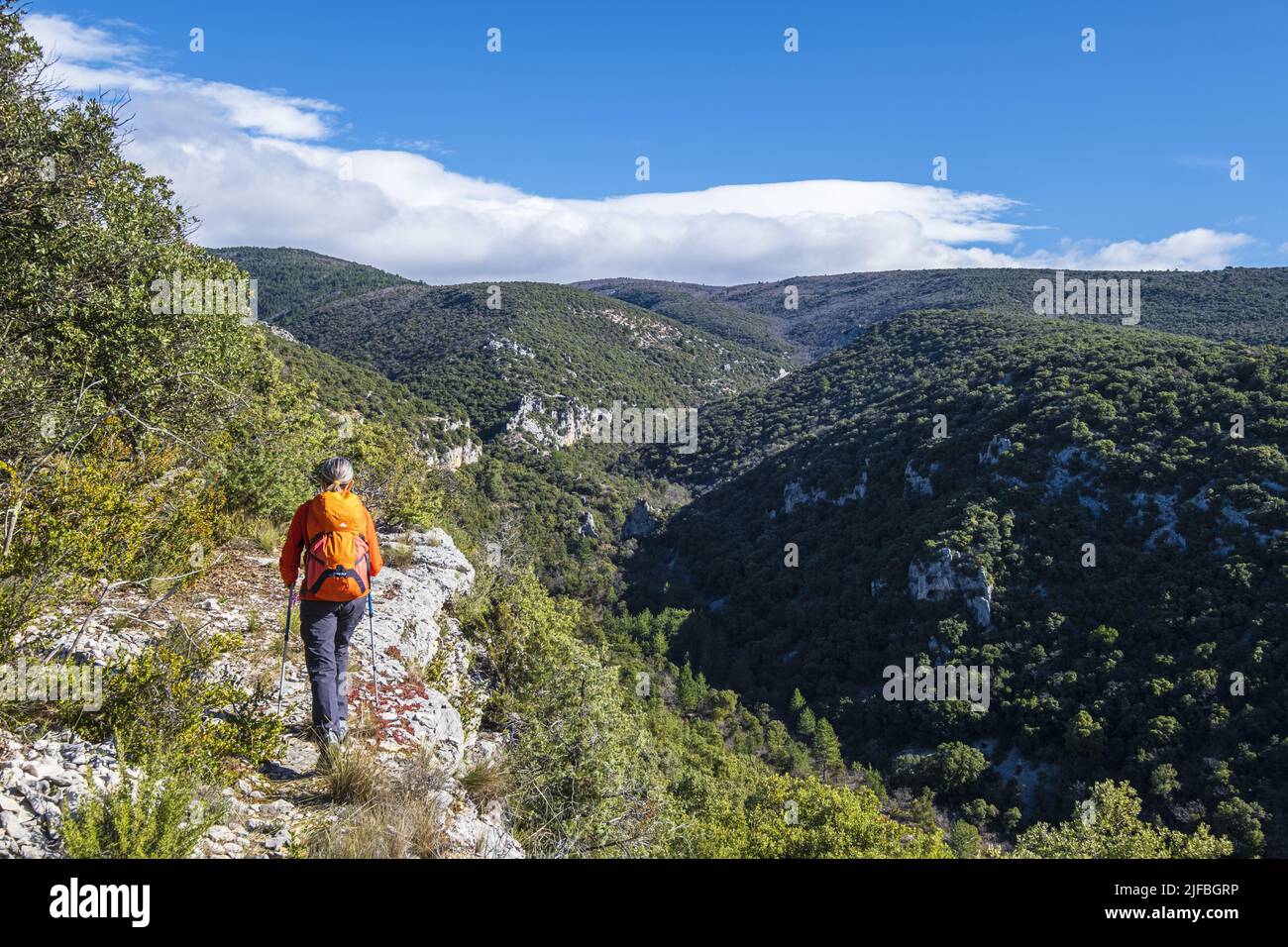 France, Vaucluse, Luberon regional nature park, hike starting from ...