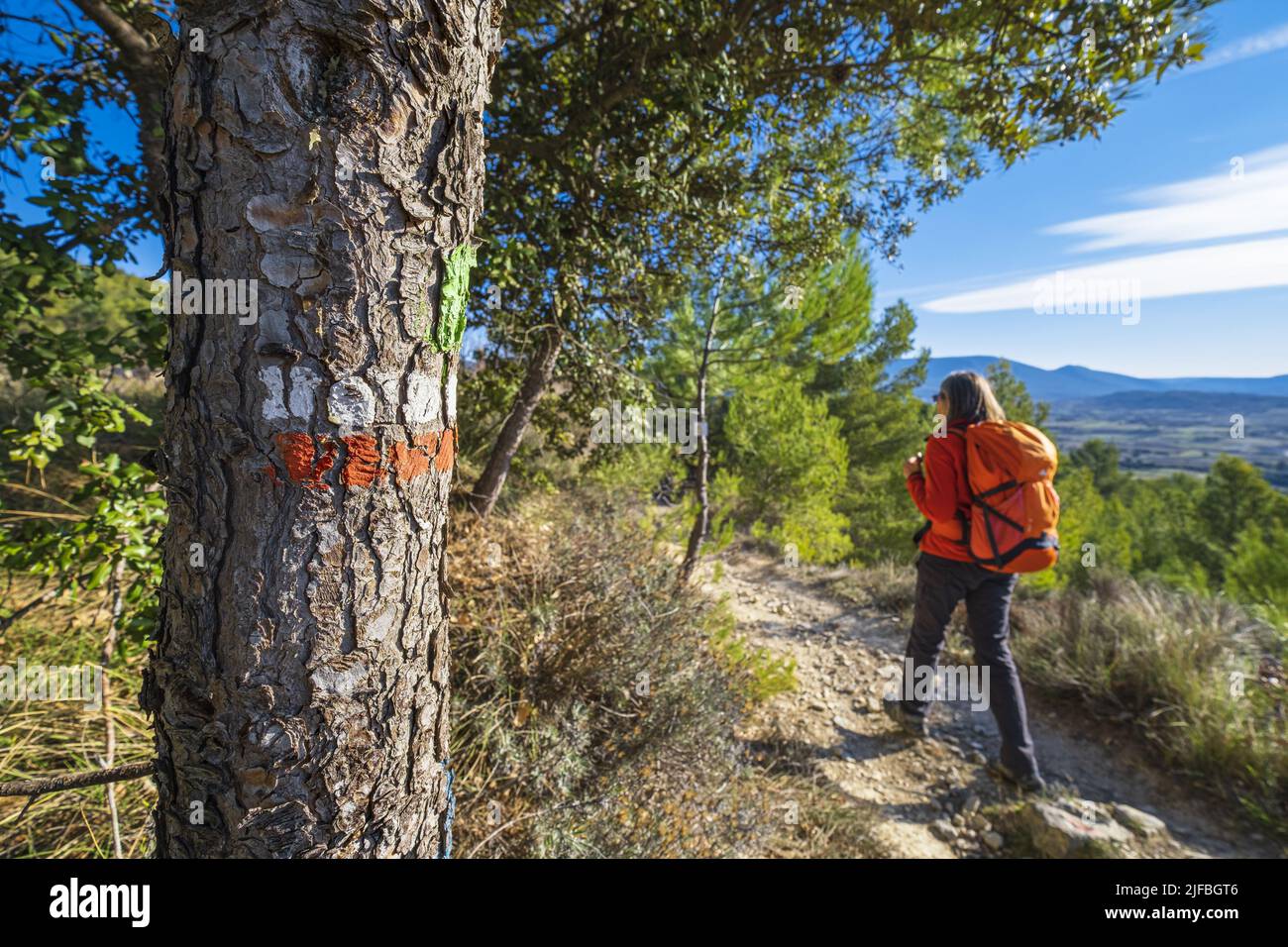 France, Vaucluse, Luberon regional nature park, Gargas, hike on Perreal ...