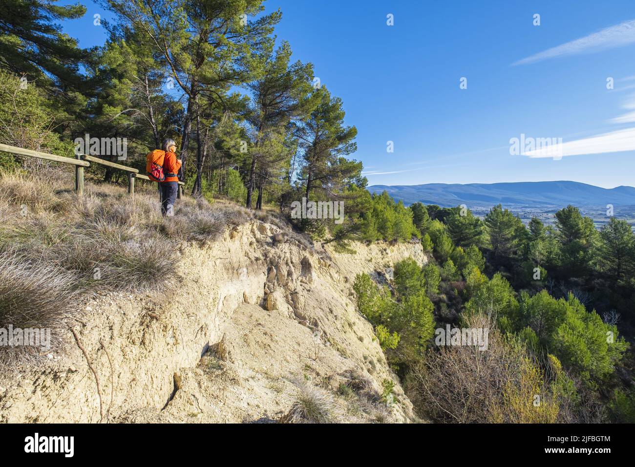 France, Vaucluse, Luberon regional nature park, Gargas, hike on Perreal ...