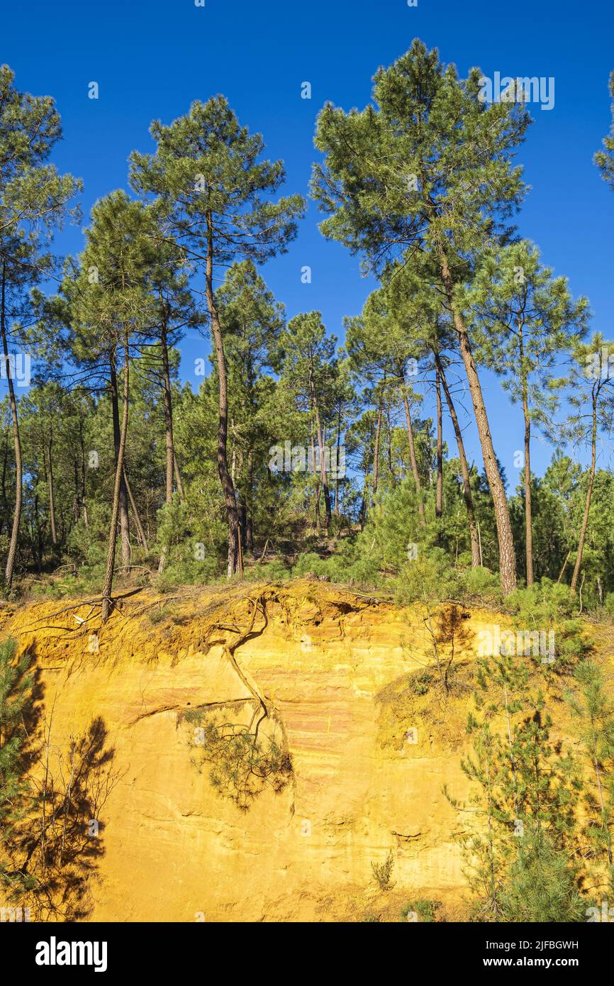 France, Vaucluse, Luberon regional nature park, Gargas, former ocher ...
