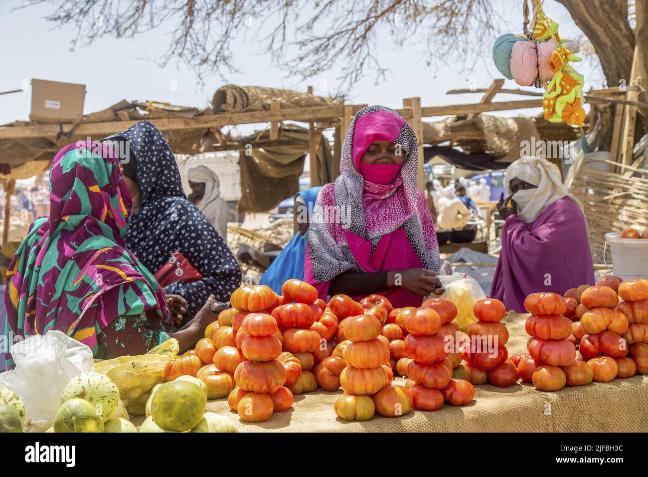 Chad, Ennedi, Wadi Hawar, Amdjarass, native village of Idriss Deby, the ...