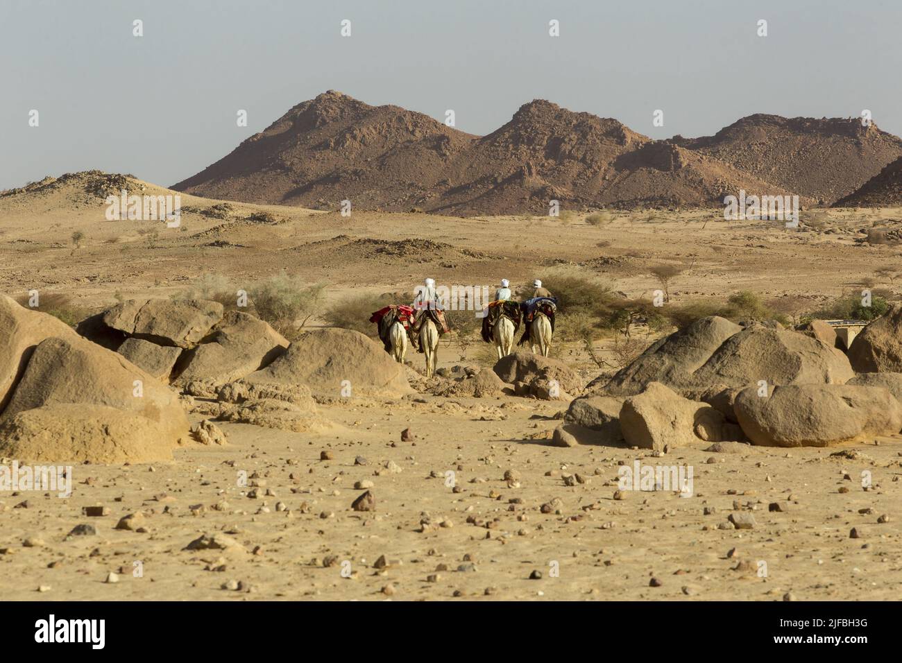 Chad, Ennedi, Wadi Hawar, Amdjarass, native village of Idriss Deby ...