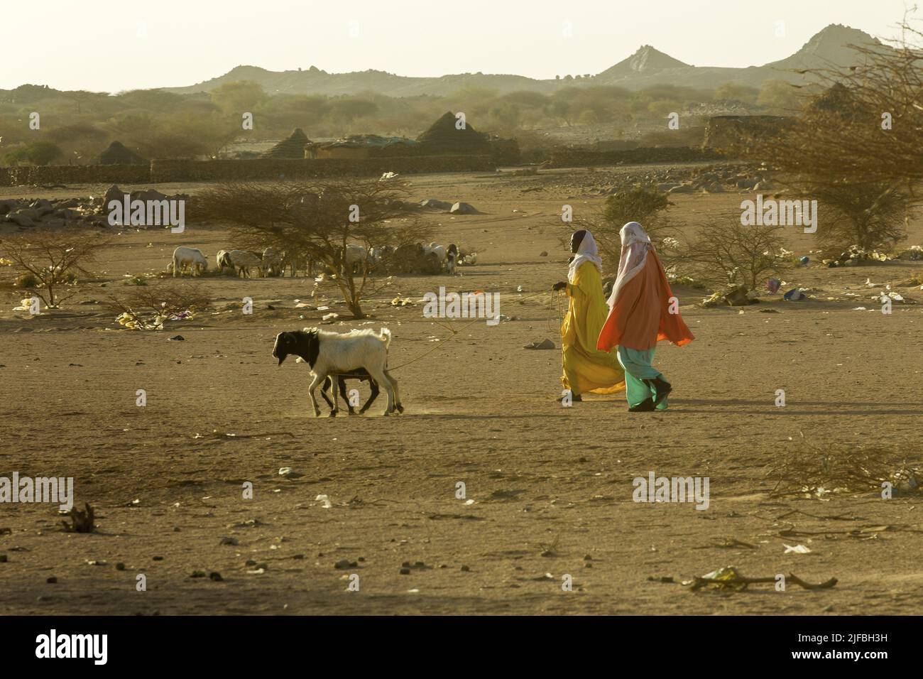Chad pollution hi-res stock photography and images - Alamy