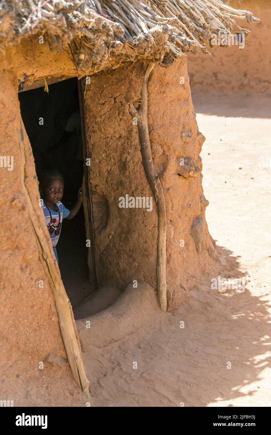 Chad, Ennedi, Wadi Hawar, Amdjarass, native village of Idriss Deby ...
