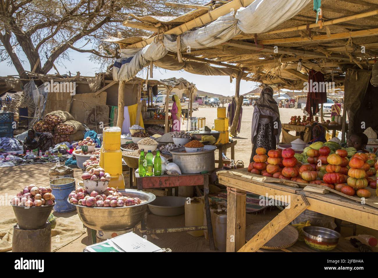 Chad, Ennedi, Wadi Hawar, Amdjarass, native village of Idriss Deby, the ...