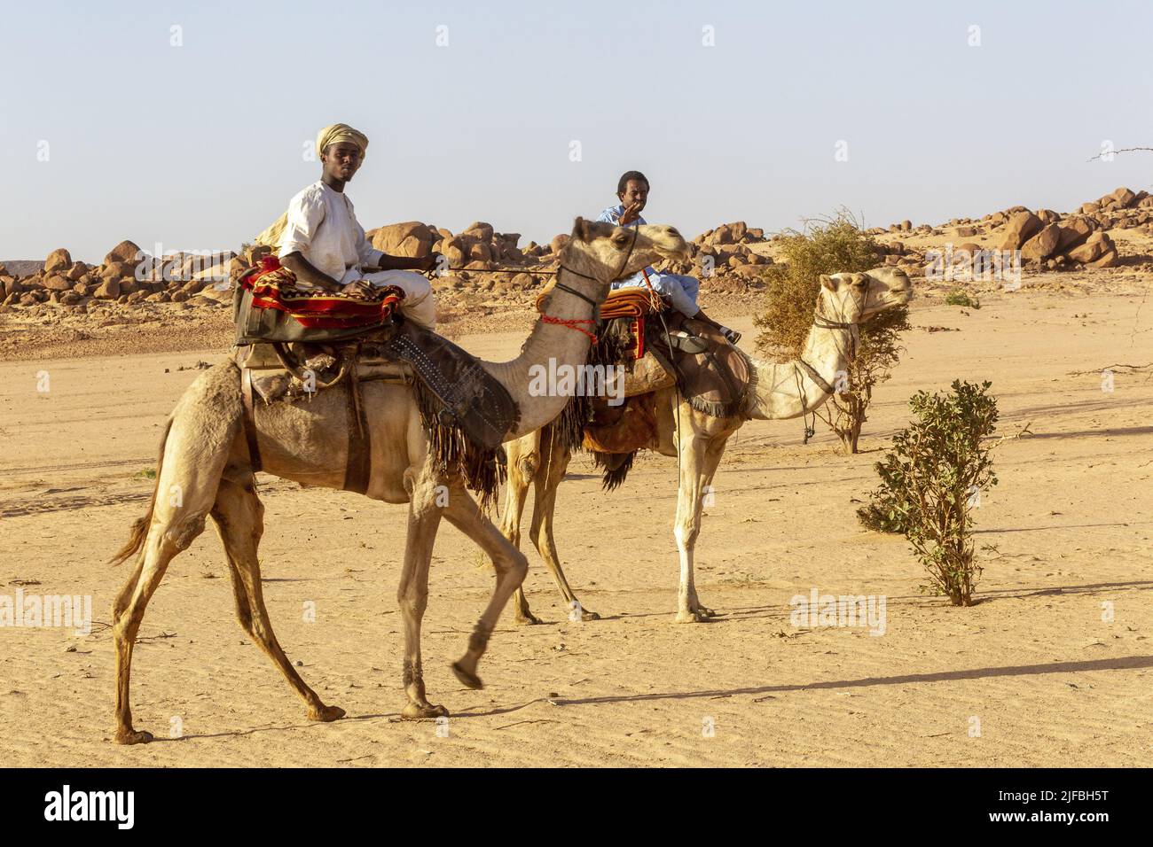 Chad, Ennedi, Wadi Hawar, Amdjarass, native village of Idriss Deby ...