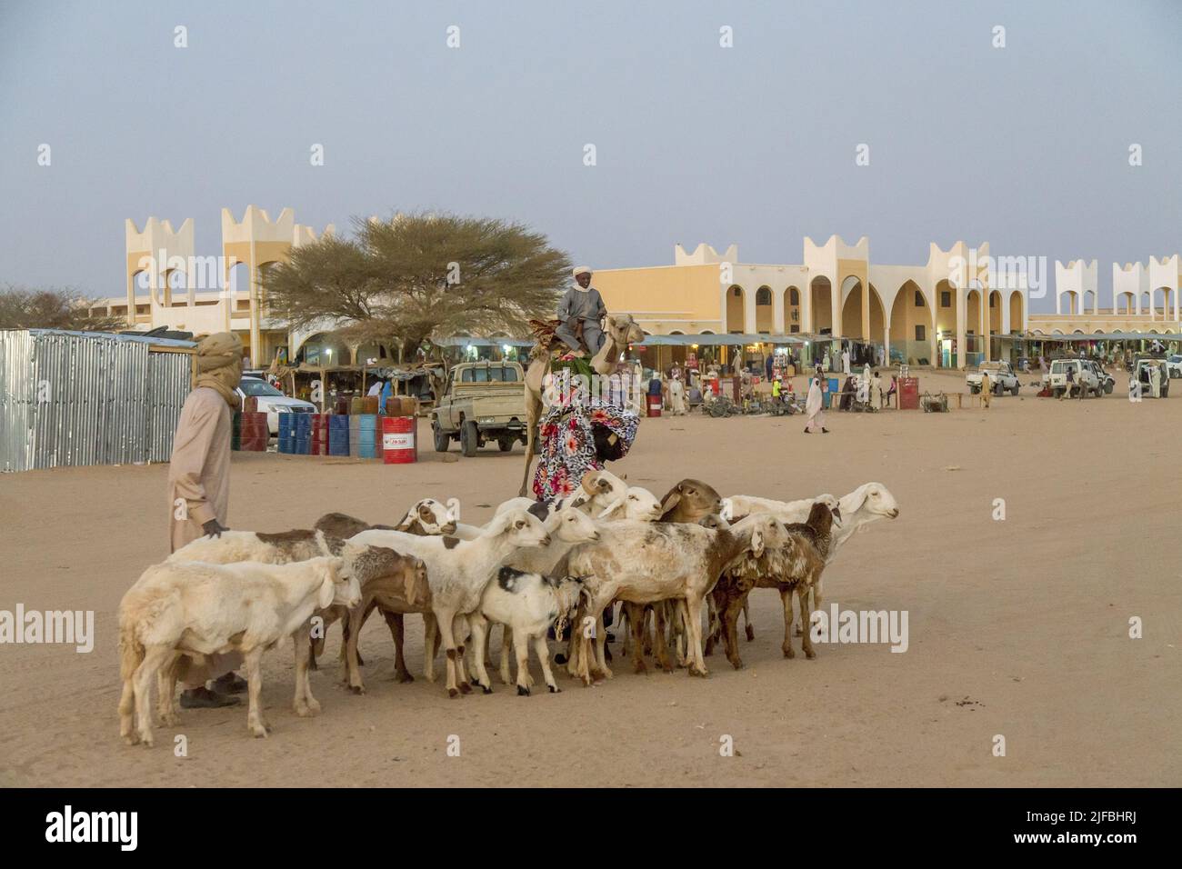 Chad, Ennedi, Wadi Hawar, Amdjarass, native village of Idriss Deby, the ...