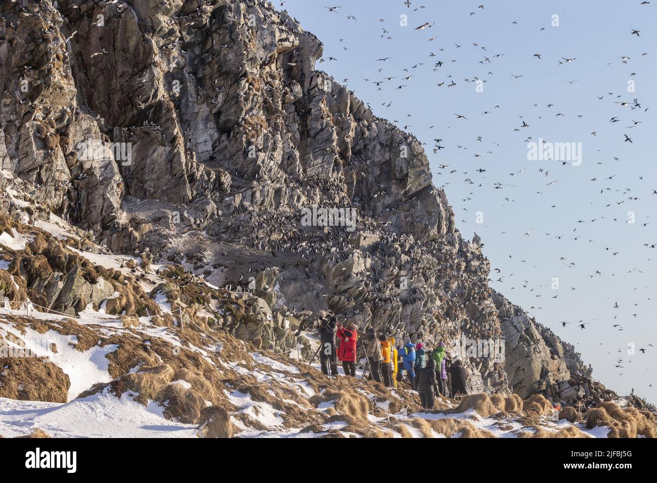 Norway, Varanger Fjord, Vardø or Vardo, Island of Hornøya, protected ...