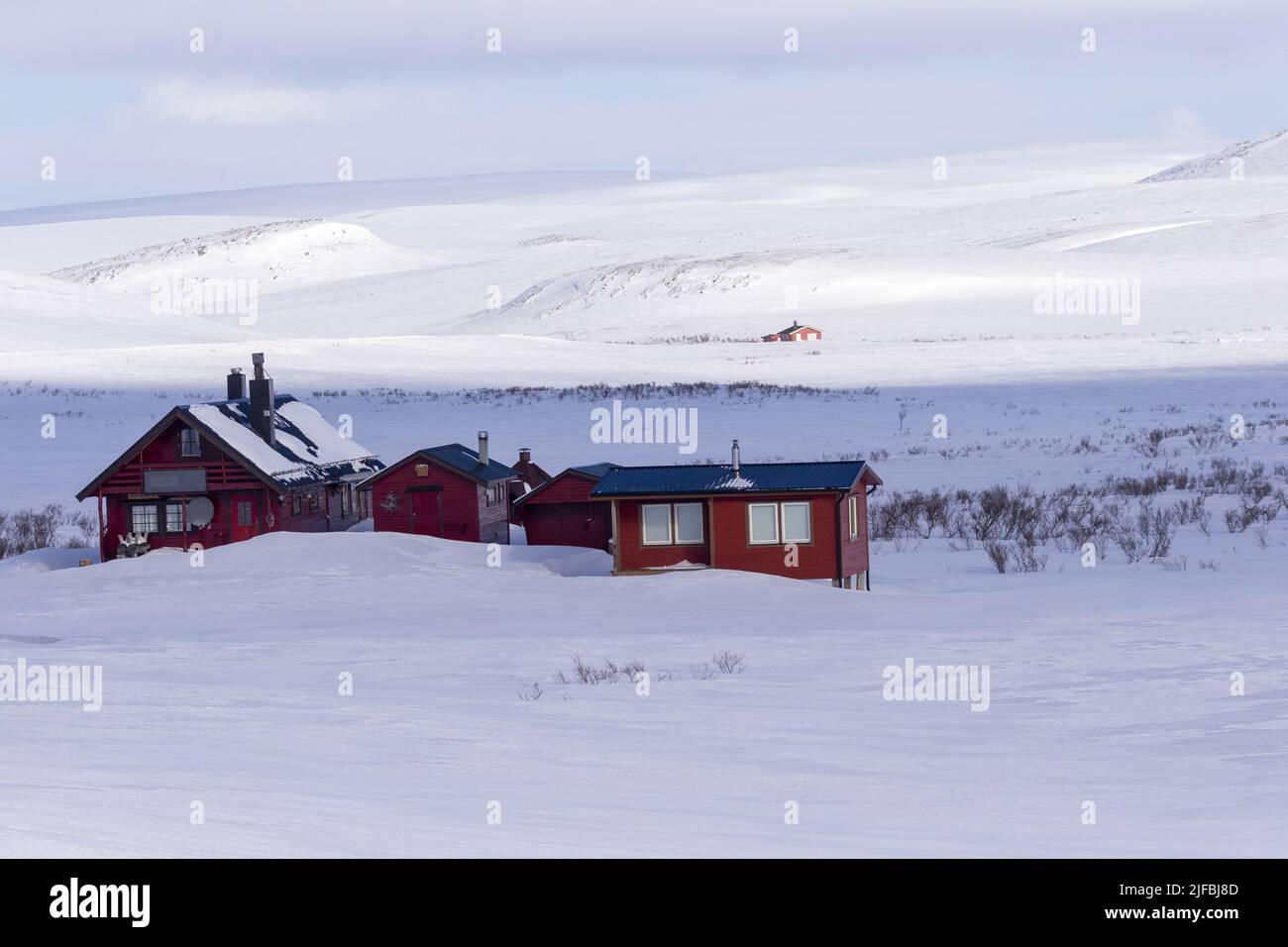 Norway, Finnmark, Tundra landscape on the road between Tana and ...