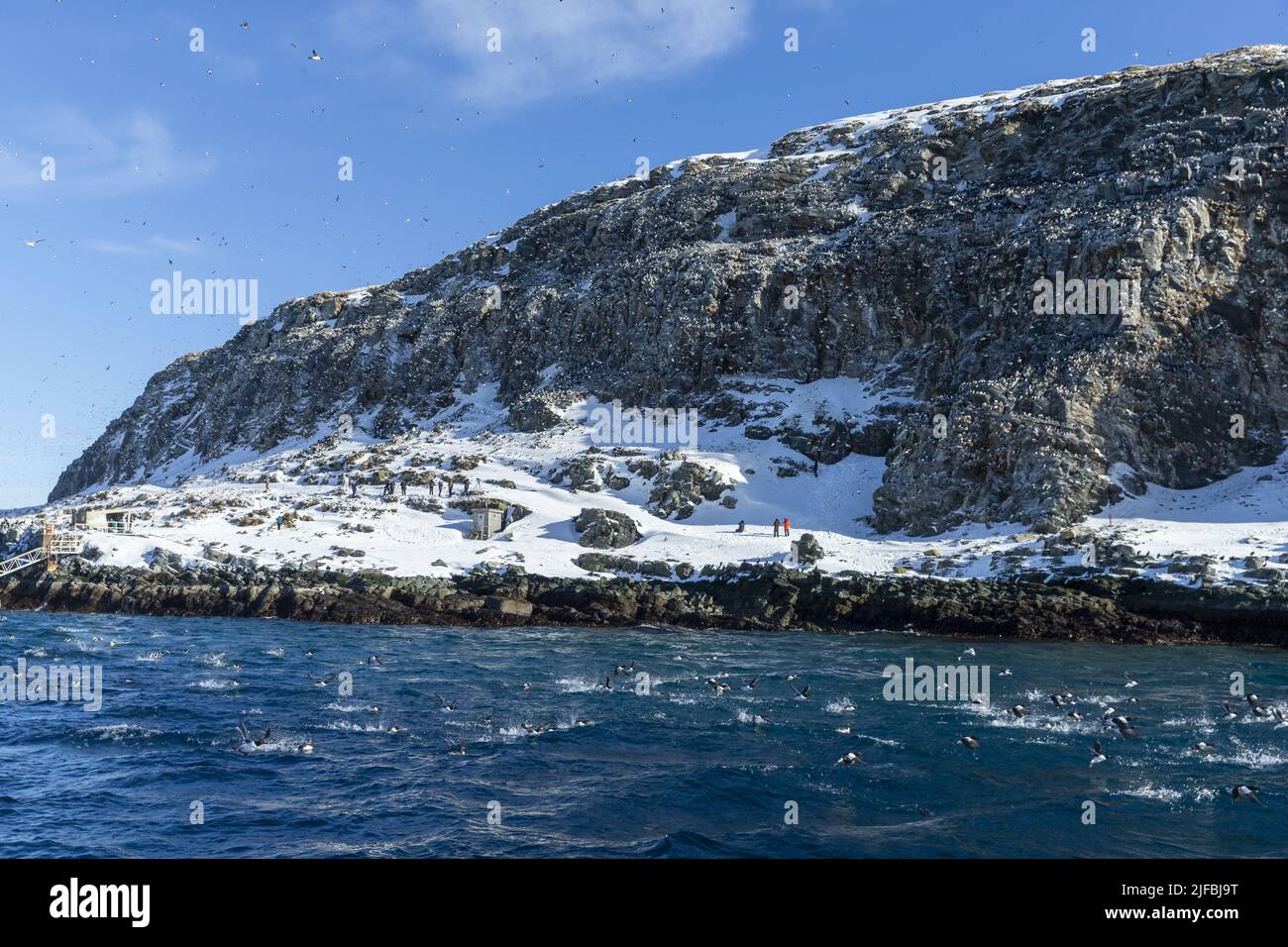 Norway, Varanger Fjord, Vardø or Vardo, Island of Hornøya, protected ...