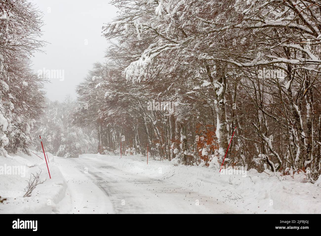 France, Aveyron, landscape of Aubrac Regional Natural Park Stock Photo ...